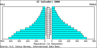 PIRÁMIDES DE POBLACIÓN Y ENVEJECIMIENTO DEMOGRÁFICO EN ESPAÑA Y EN EL MUNDO