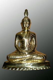 SELVAMS: OUR NEW PRODUCTS