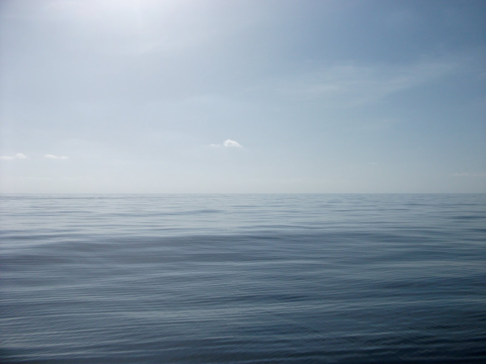 Mrs. Babicki-Teacher at Sea: Hot Day, Calm Seas