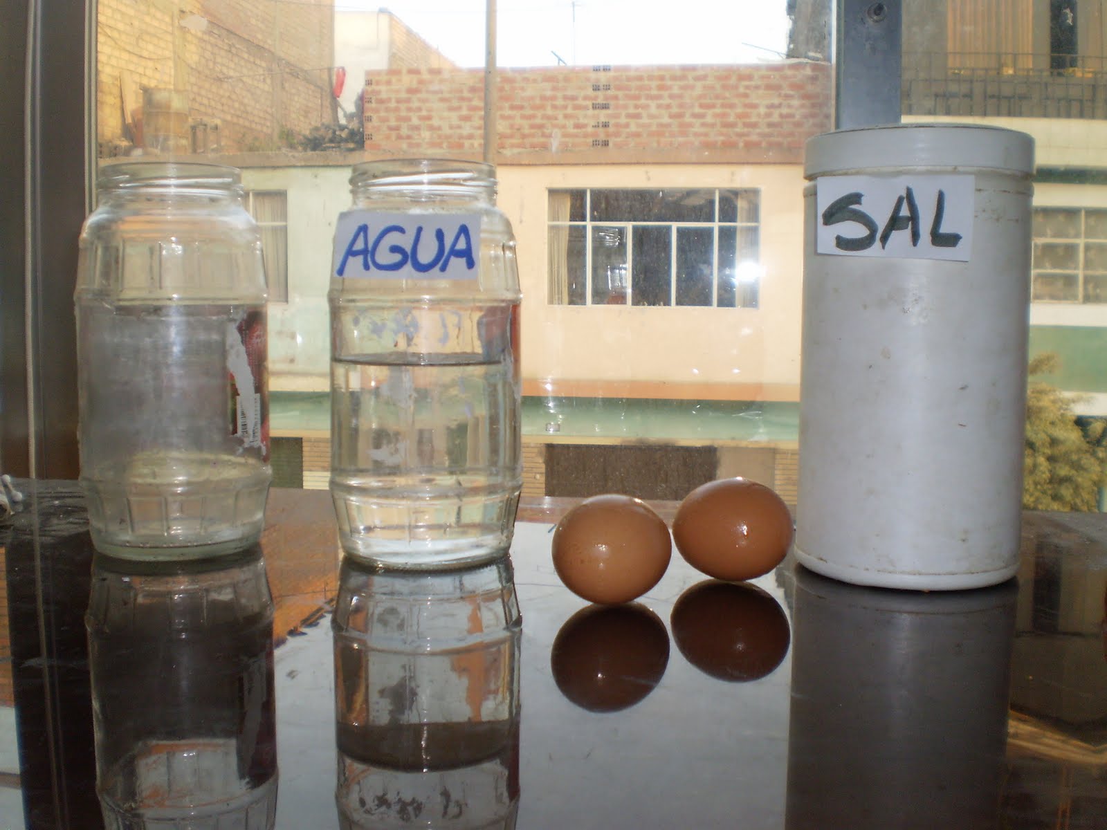 Conociendo la fisica por su mejor lado: Experimento Nº1: Un Huevo Flotando