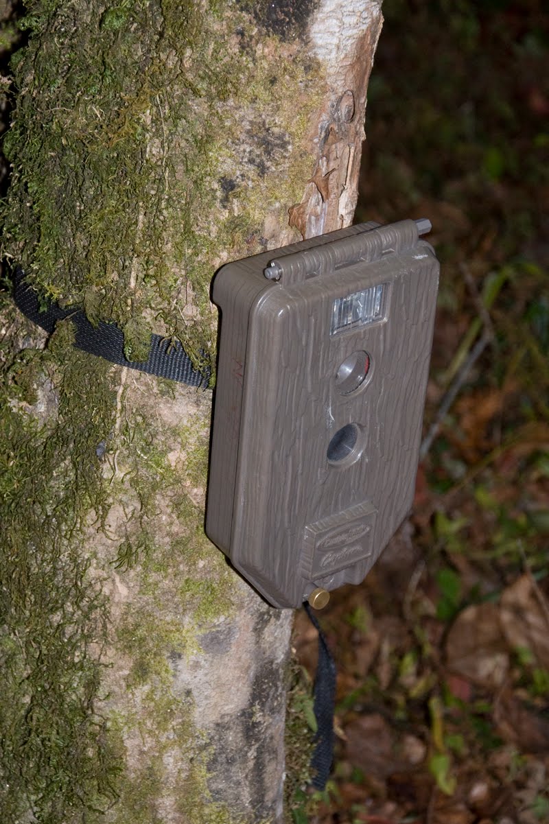 WWF Bhutan - Kimi Adolph: Camera Trapping