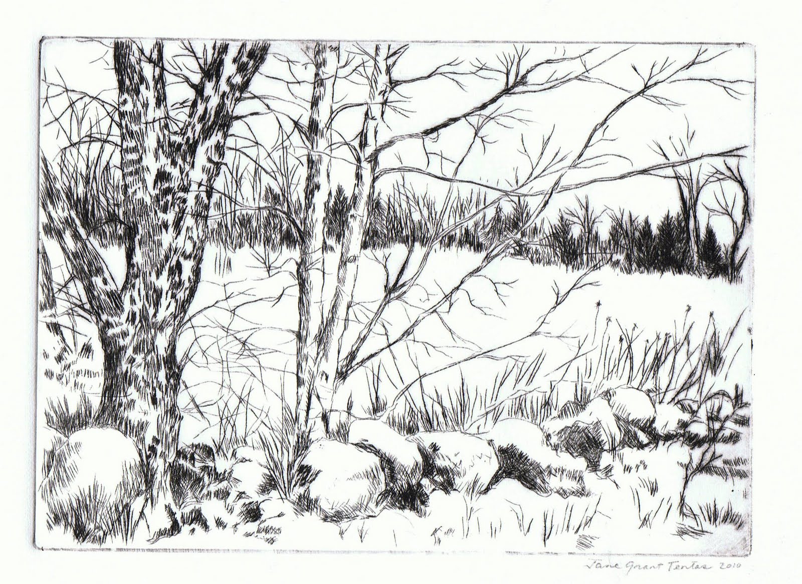 just pencil on paper: Drypoint etching