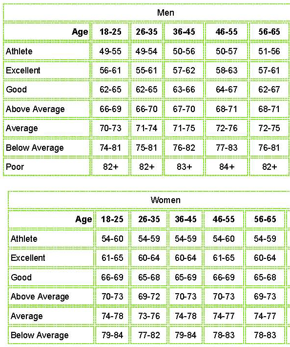 Going the Distance: In The Zone
