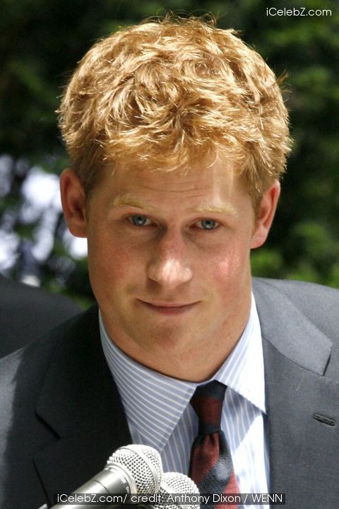 celebrities and fashion: Prince Harry