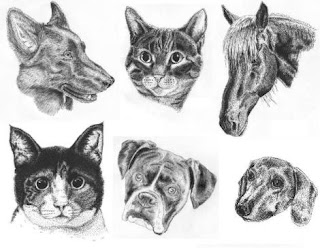 Chuck Does Art: Ink Drawings: Animals and Plants