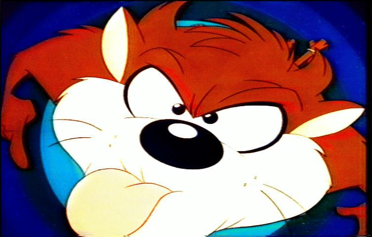 ysopmie: tazmania wallpaper