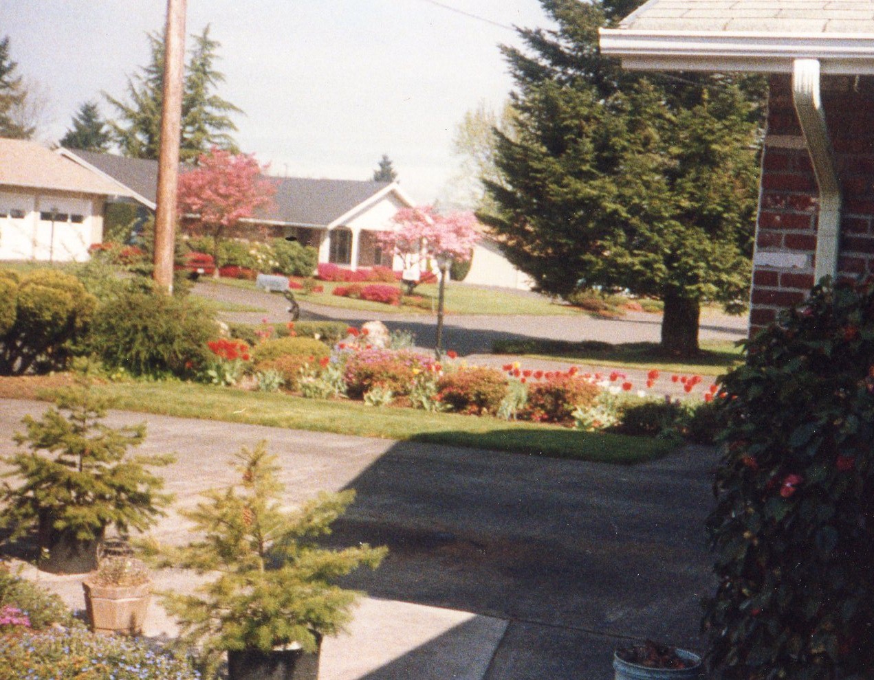 Pictures of Our Ancestors: Monzella Grace Riley Rogers Waddington 1923-1992