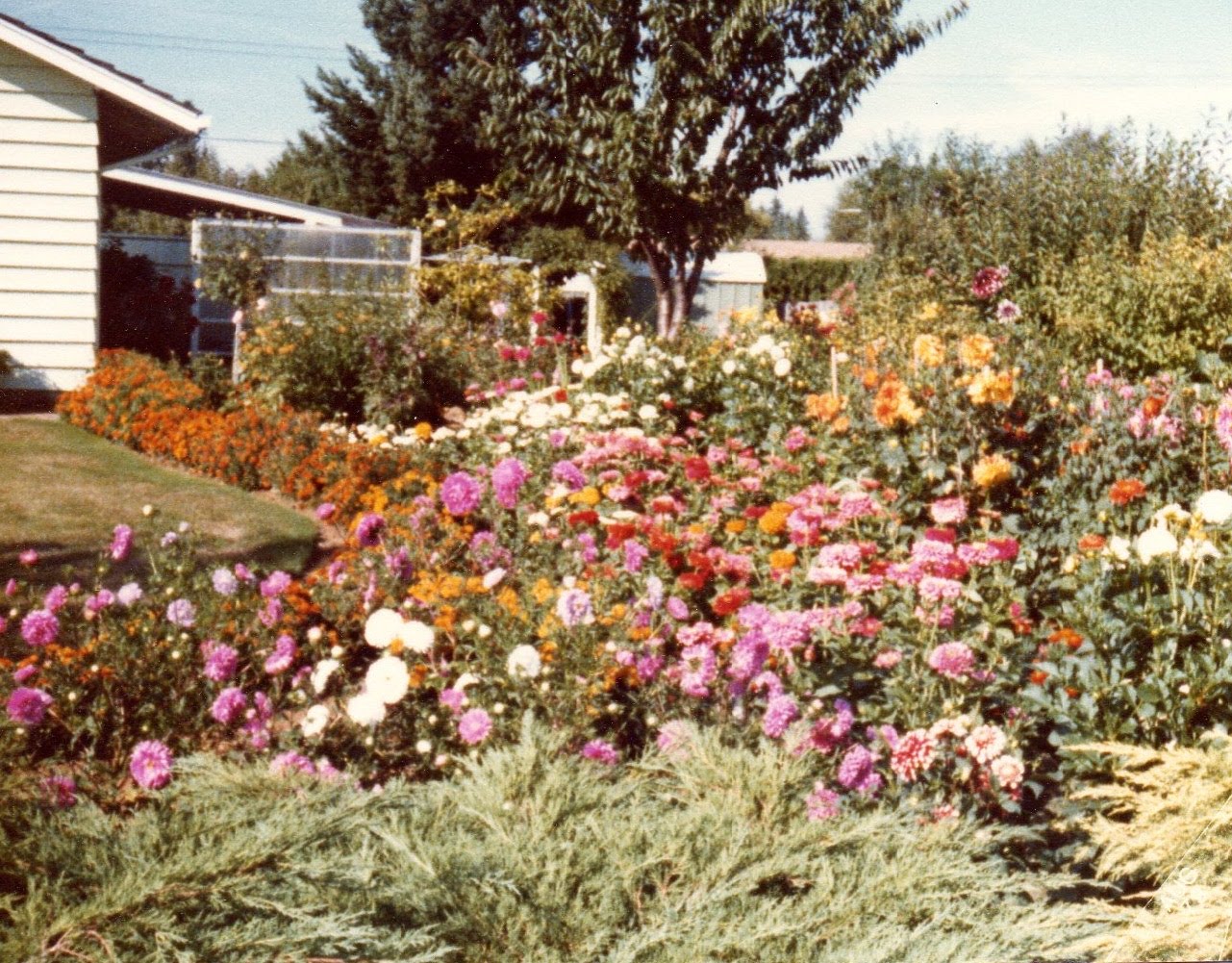 Monzella Grace Riley Waddington (1923-1992) - Find a Grave Memorial