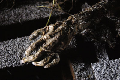 VISUAL NARRATIVE: HUMAN DEATH & DECAY