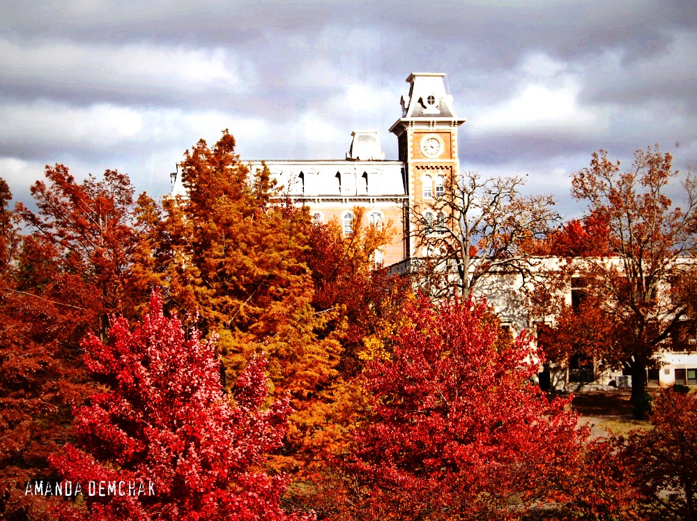 Click Click Zoom Photography: Fall day at University of Arkansas