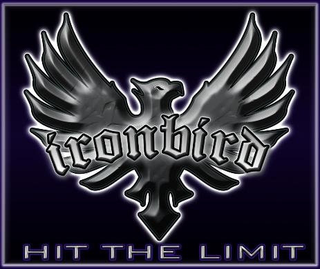 IRONBIRD HIT THE LIMIT | Another Day In The Night