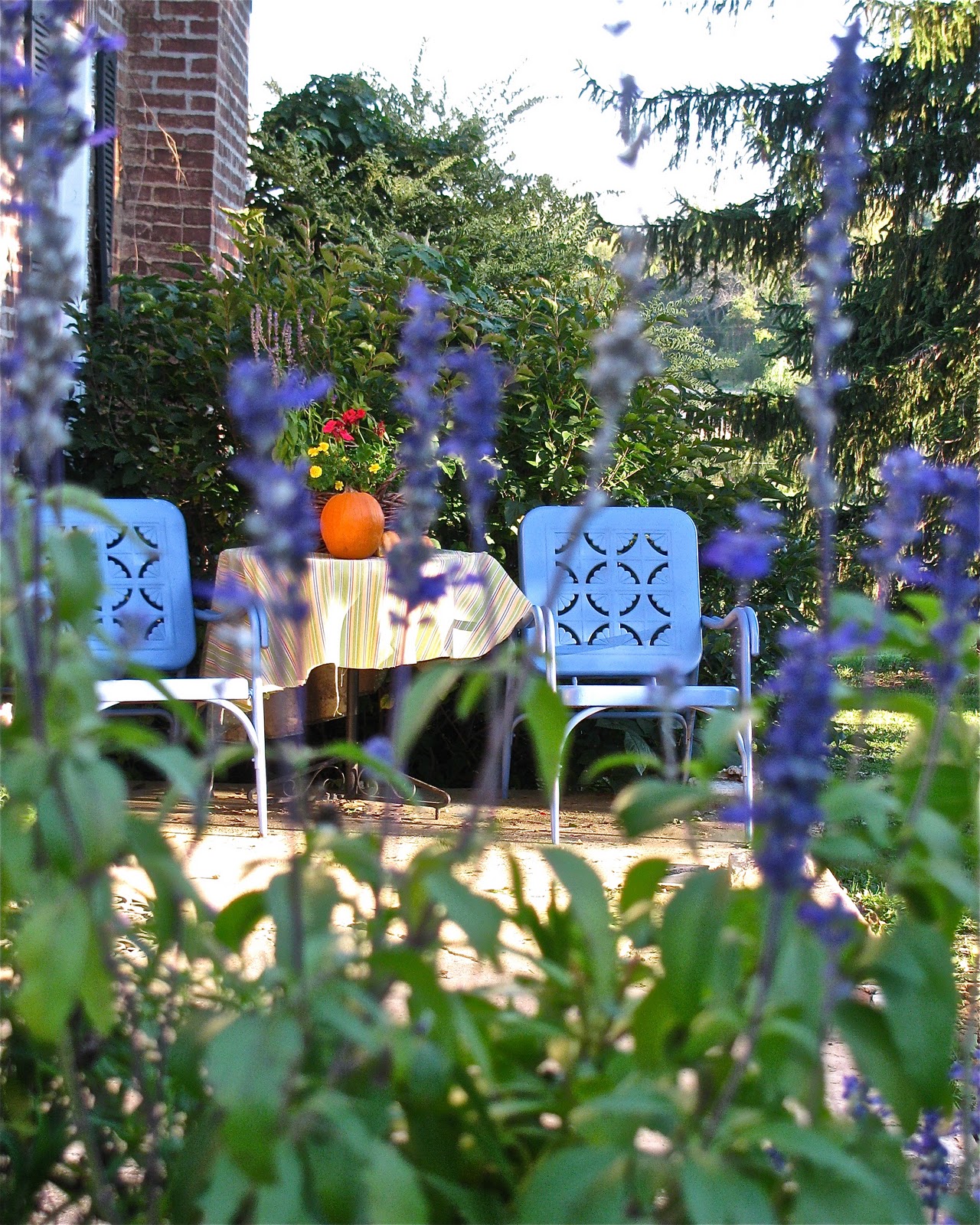 Farm Fresh Fun: Our Farm