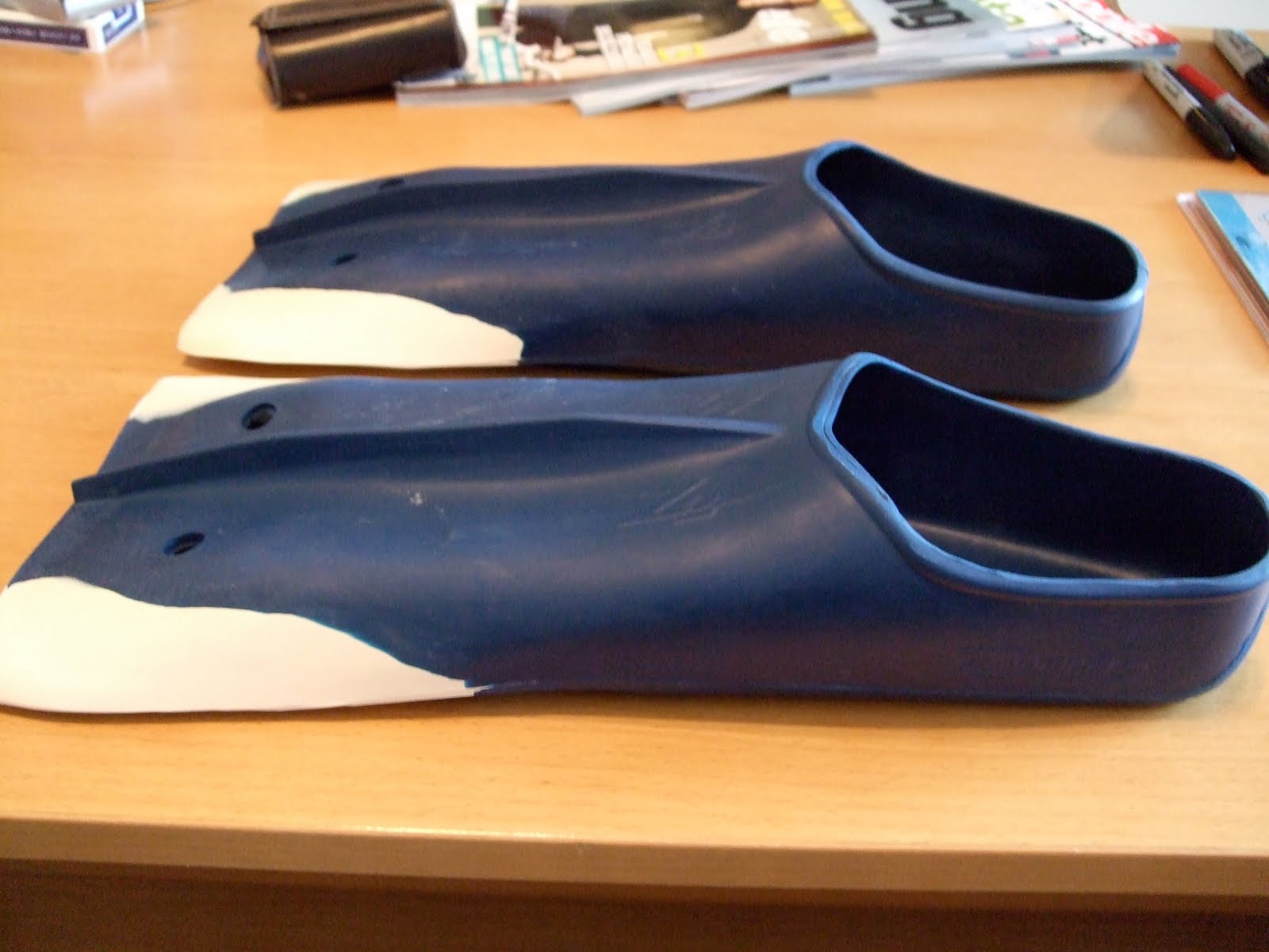 Now I Am Doing Something: Product Reviews 17 and 18 - Speedo BioFuse ...