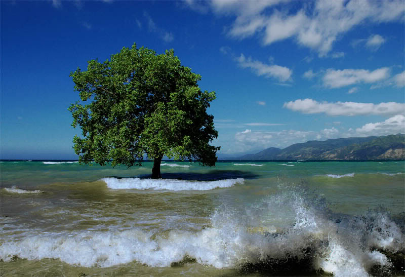 Mali Beach ~ Indonesia Tourism Travel