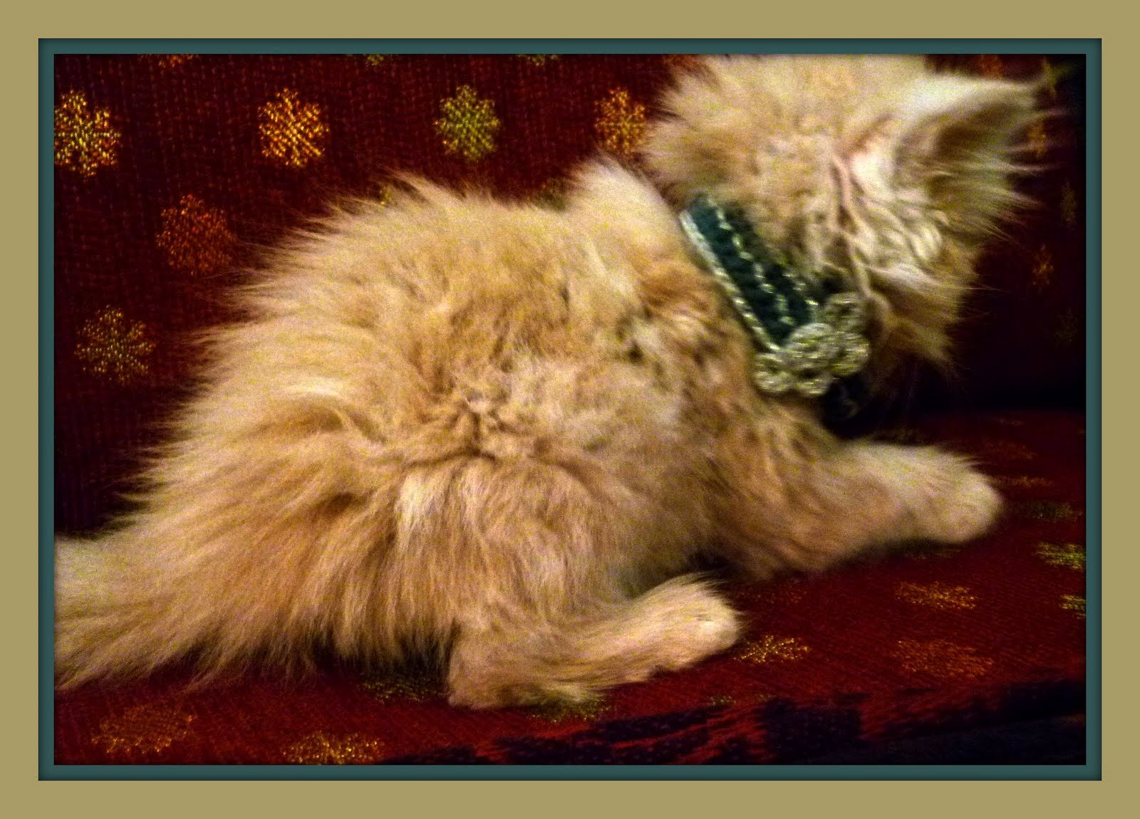 Stitch Story: Crochet Kitty Cat Chic!