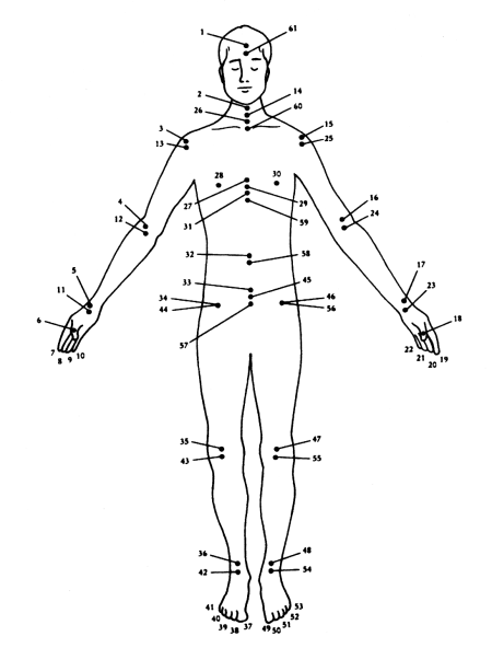 Ayurveda and Yoga Health Blog: 61 Point Relaxation, taught by Swami ...