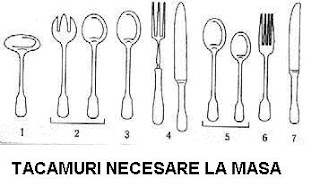 Camelia Minişan: Tacamuri