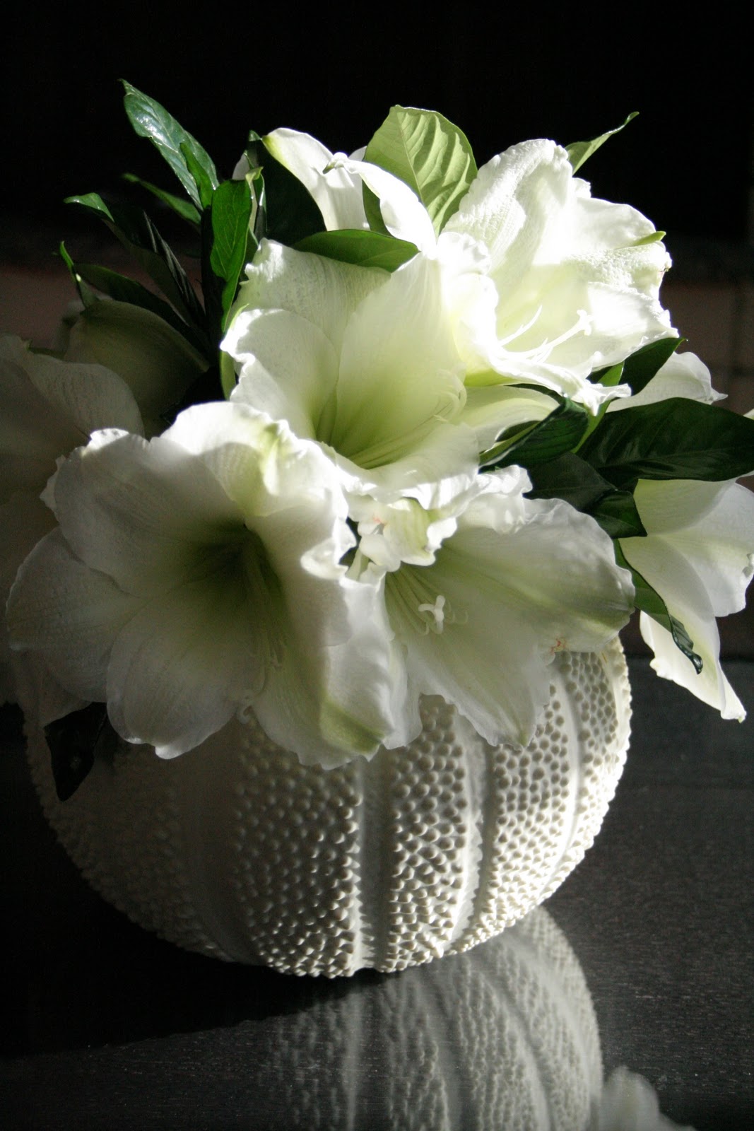 CHANDRA ABEL DESIGNS: White Amaryllis