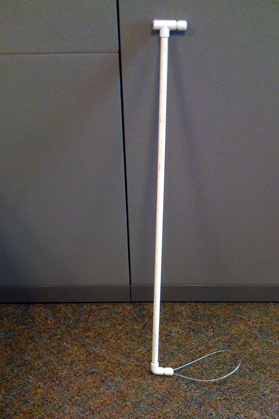 offshore cpa: lobstering and rugby