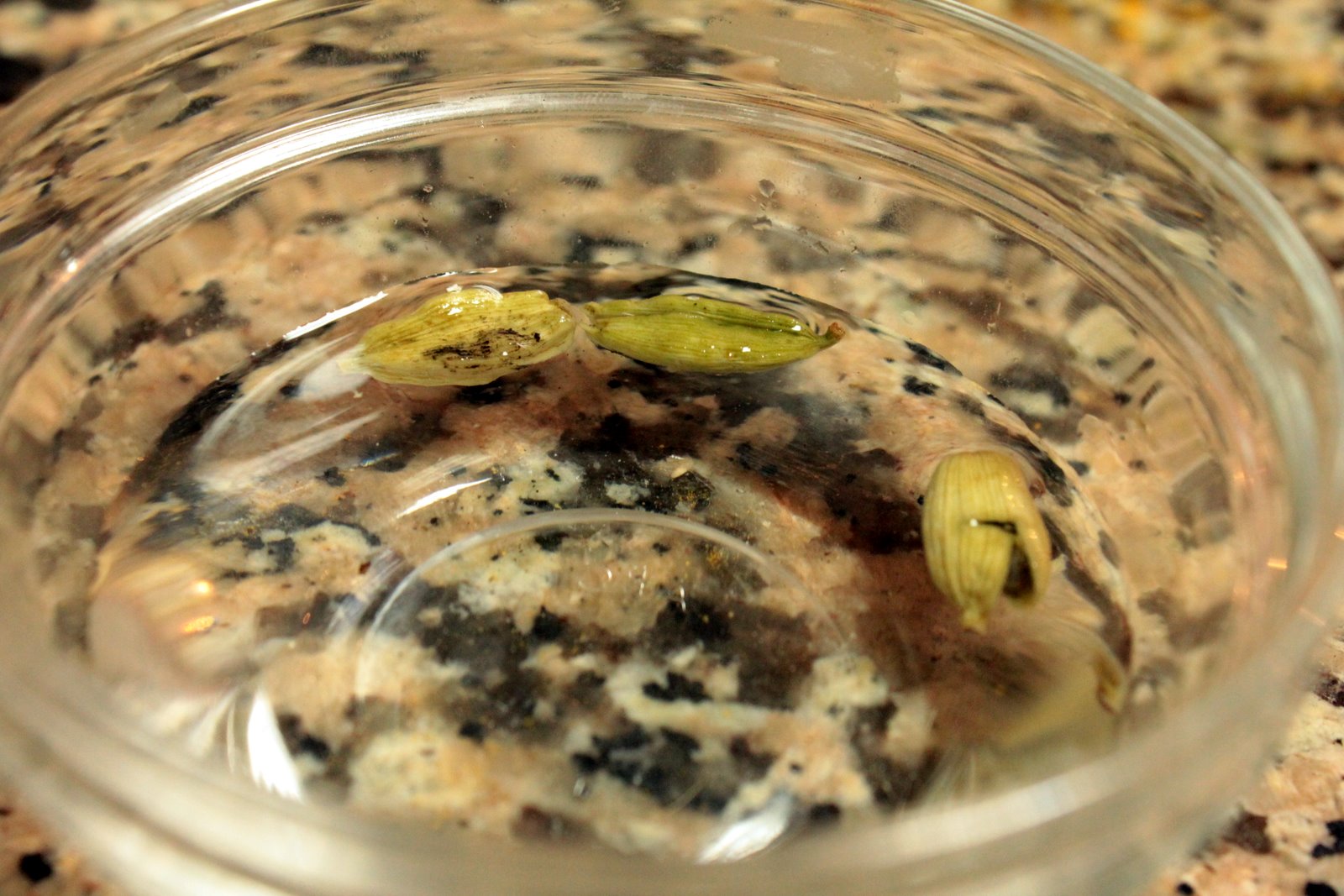 Cooking the Globe: Chebeh Rubyan (Prawn Balls)