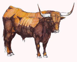 Casta Jijona, iniciativa para la conservación del bovino de origen ...