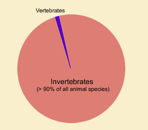 science: vertebrates vs. invertebrates