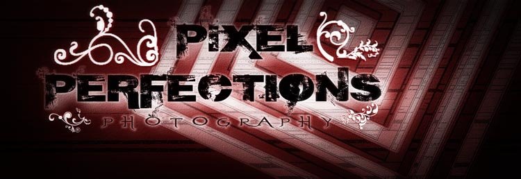 Pixel Perfections Photography by Jason Lewis