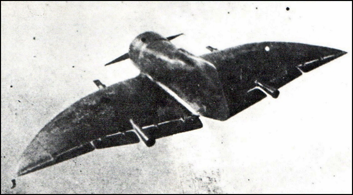 Las Alas Volantes de Reimar Horten y sus proyectos en Argentina | Zona ...