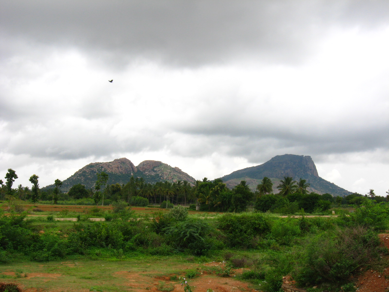 Roadfaring: Kaivara revisited and beyond