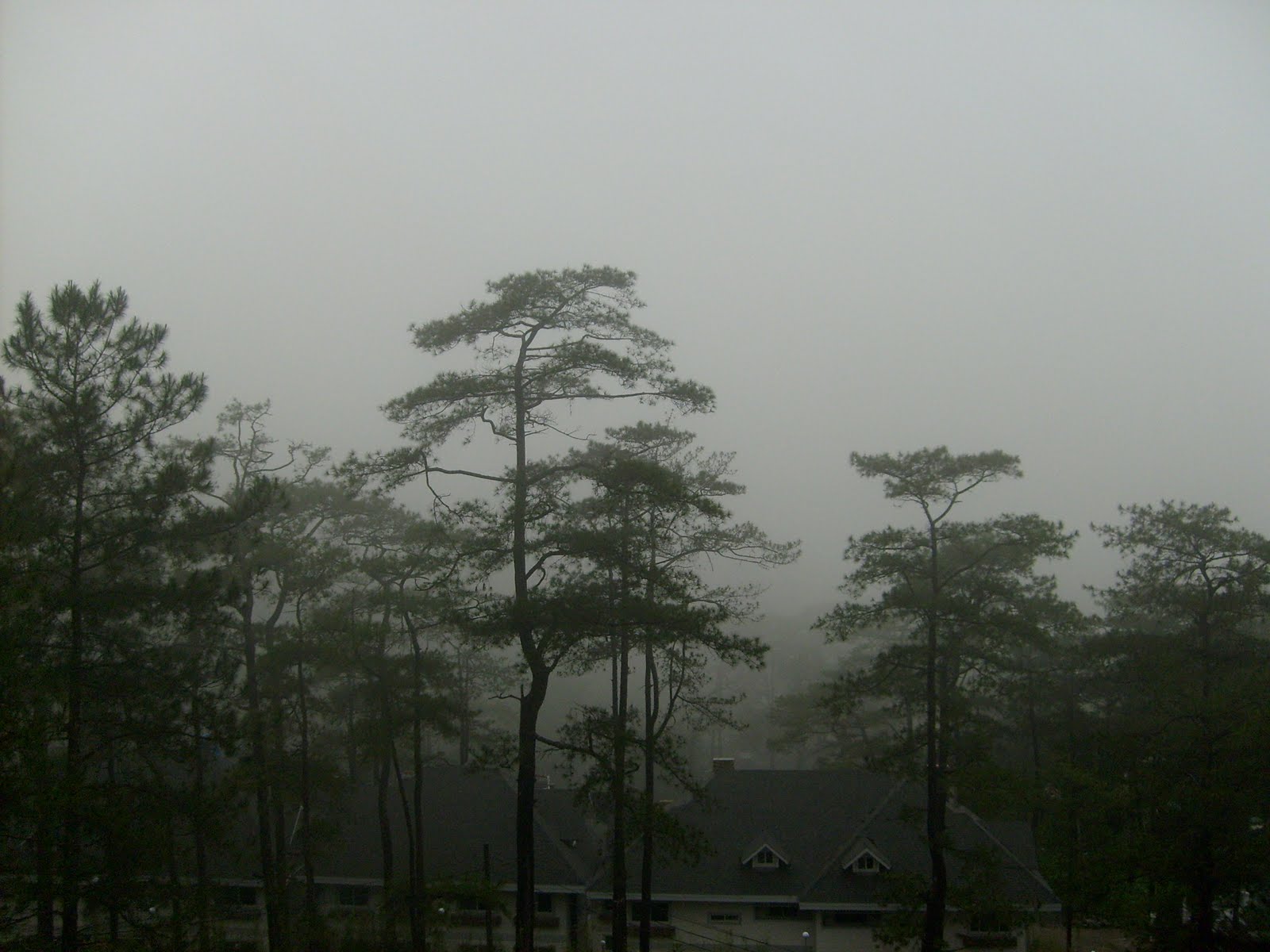 Ferddie's Blue Jeans: A foggy family outing in Baguio (Part 2)