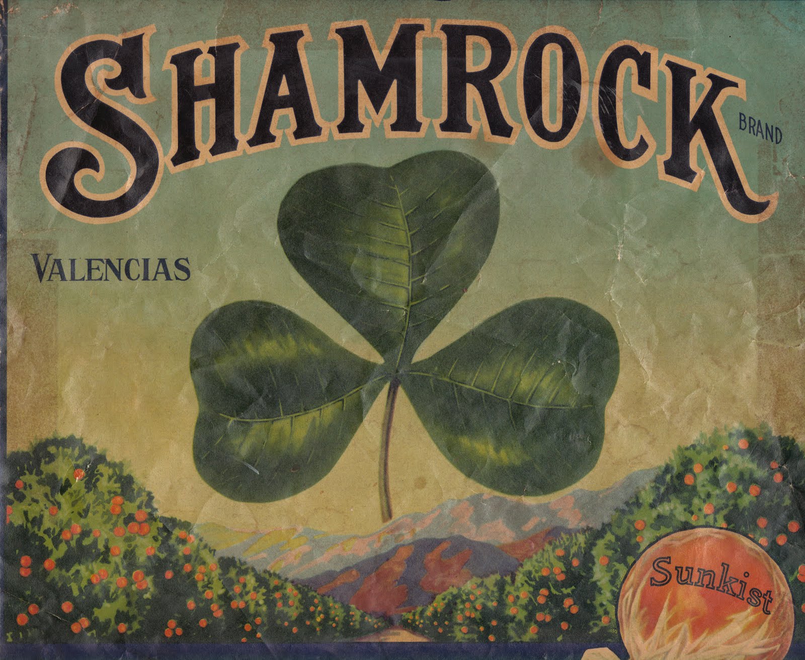 Billy Shamrock Ellis