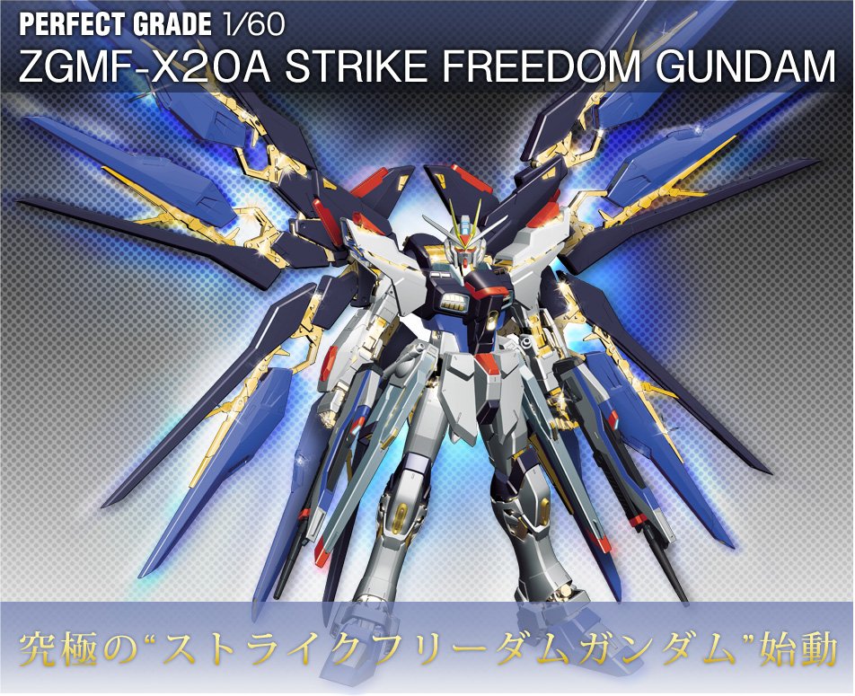 WING SABER TOYZ UPCOMING RELEASE:- PERFECT GRADE GUNDAM SEED DESTINY ...