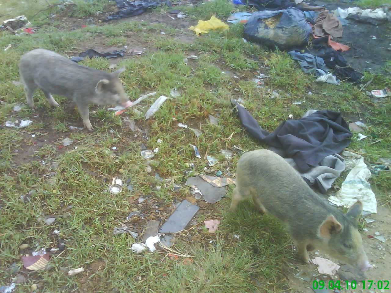 Township - Geo (rge): Schönwetterfußballer