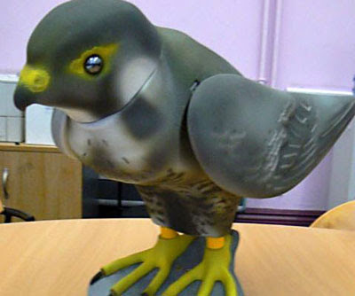 Robots to tackle pigeon menace