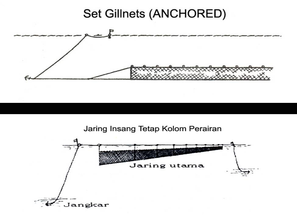 Klasifikasi Jaring Insang Berdasarkan Metode Pengoperasian | "BLOG TANI ...