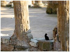 naturaleza: Los Gatos romanos, Patrimonio de la ciudad...