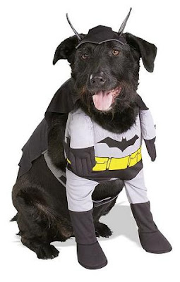 Curiosidades de Perros: Perro Batman