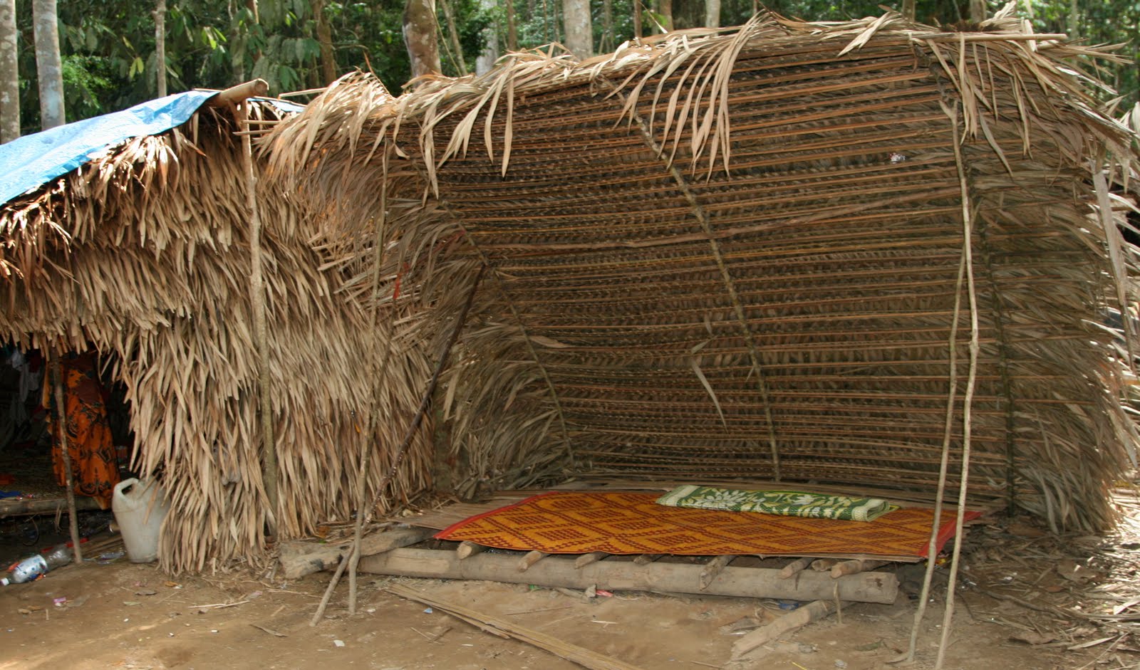 The Batek Tribe, Taman Negara, Malaysia - A Bohemian's Guide to the ...