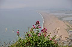 billatbingley - Random Jottings: Moonfleet by J Meade Falkner