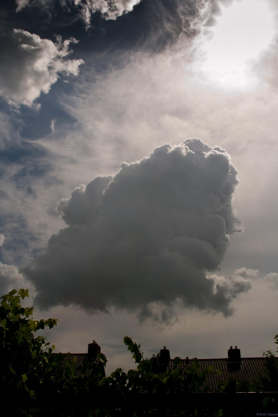 Dutch-Moments: fotogenieke Wolk