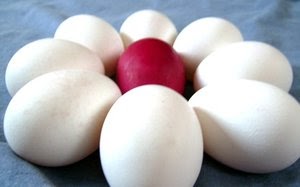 GAMBA IMBA: Ang Itlog at Manok bow!