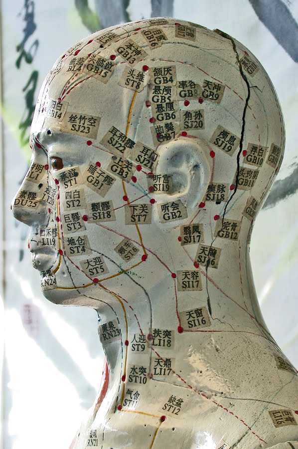 Reflexology Live: Finding Science in Acupuncture - WSJ.com