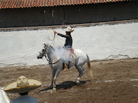 CHARRERIA : Piales