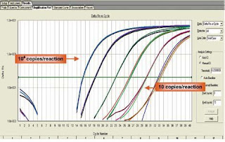 RMC Pharmaceutical Solutions Blog: Assessing rapid mycoplasma detection ...