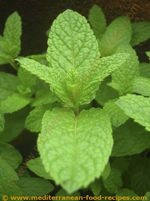 Mediterranean Diet Food