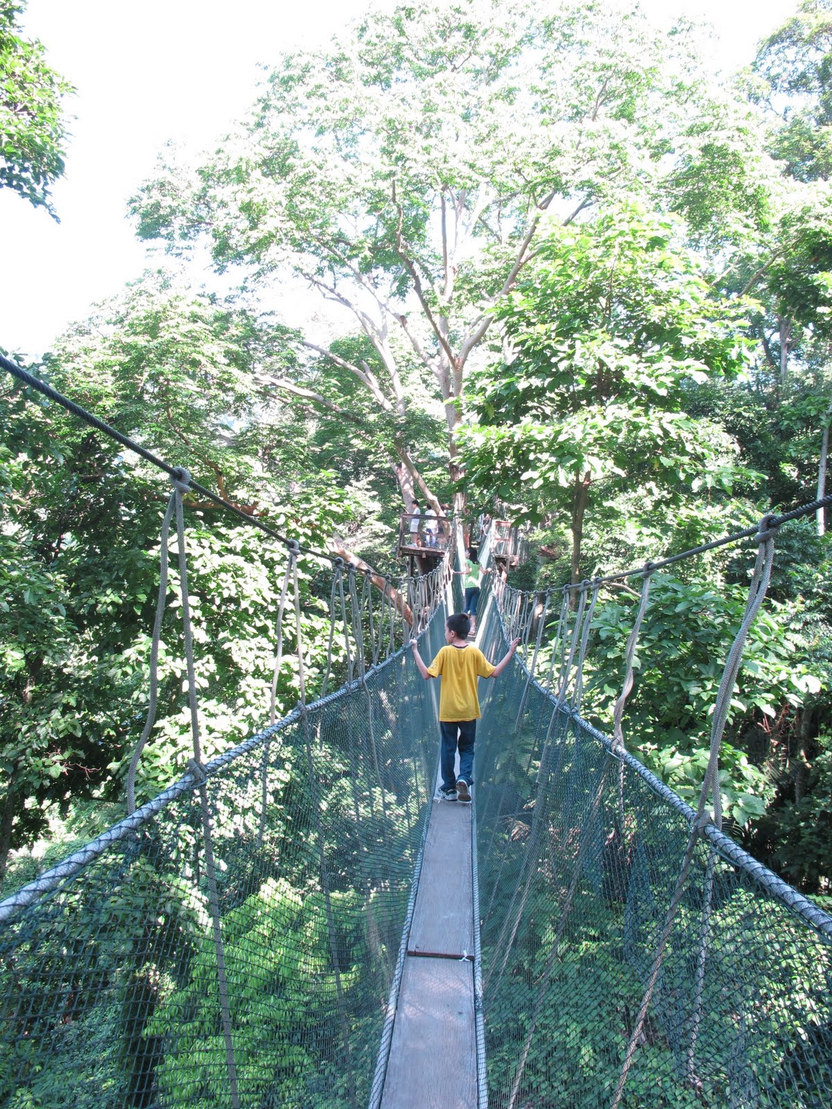 Nasi Lemak Lover: Canopy Walk, Forest Research Institue Malaysia FRIM