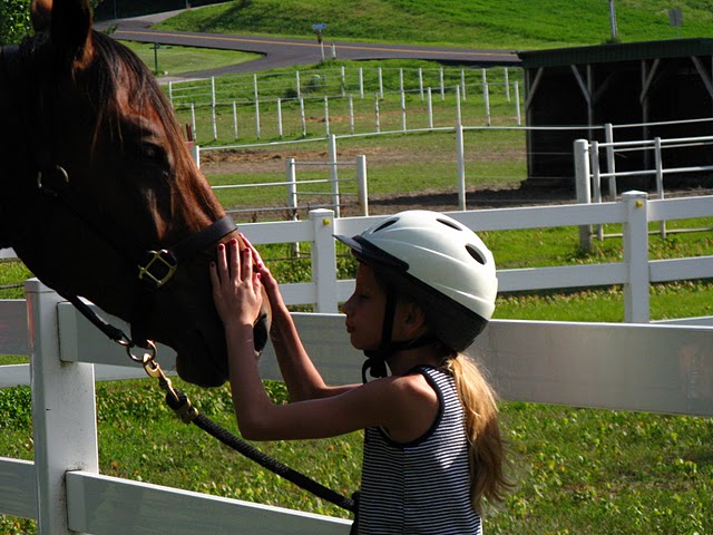 katierose: ROAD TRIP to: Horse Sense for Special Riders!