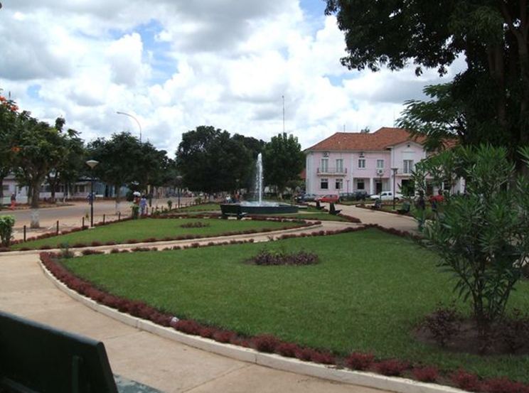 SAURIMO: janeiro 2011