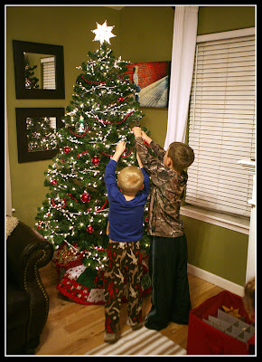 Meadow Street Memoirs: 2010 Christmas Tree Post