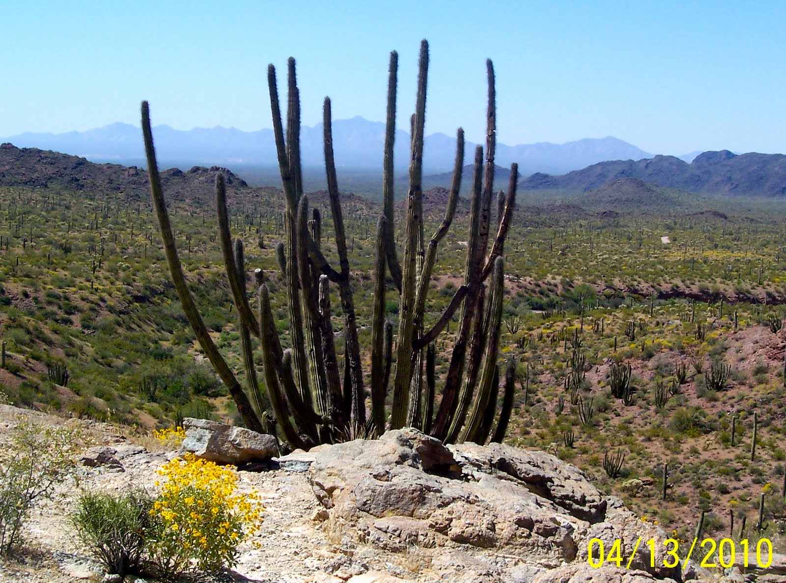 Notes from Hoss: Organ Pipe Cactus National Monument (OPCNM)